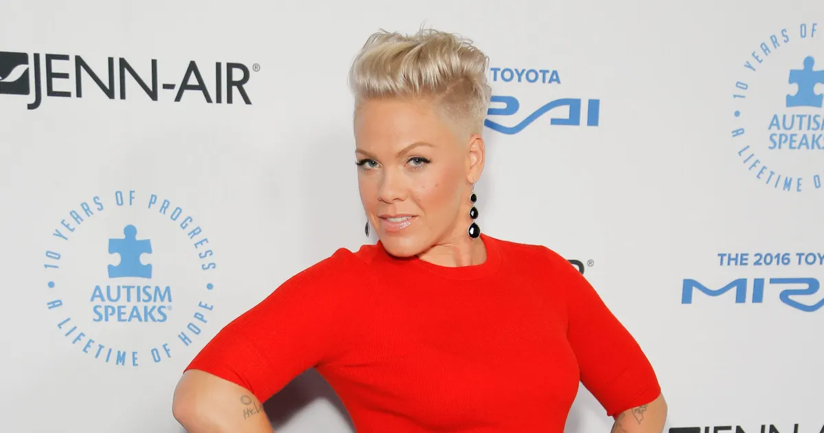 Things You Might Not Know About Singer 'Pink' - Fame10