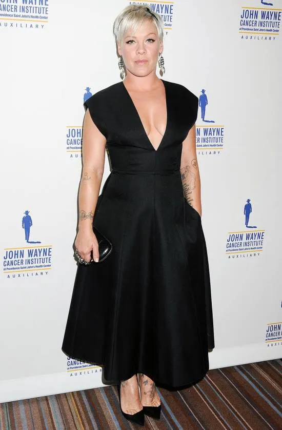 Things You Might Not Know About Singer 'Pink' - Fame10