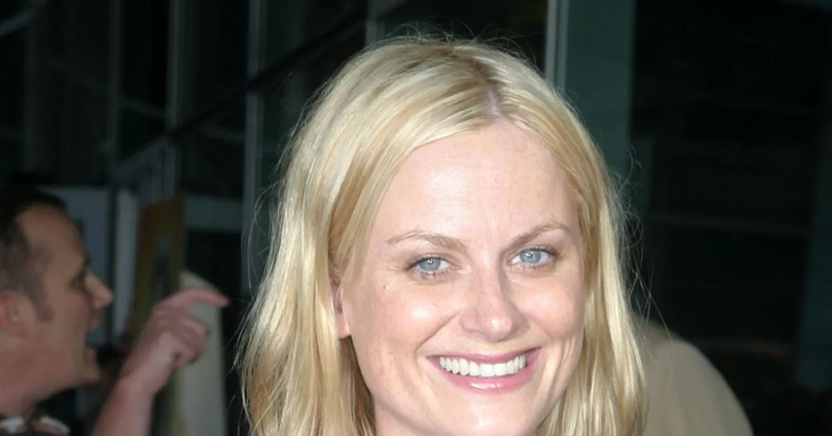 Things You Might Not Know About Amy Poehler - Fame10