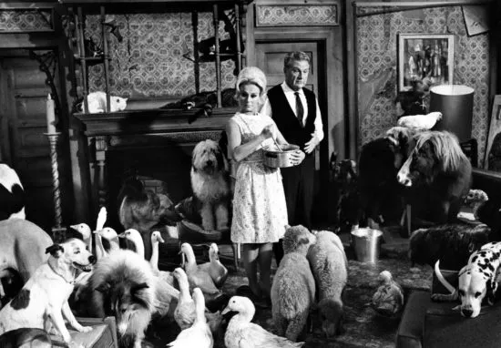 9 Things You Didn’t Know About 'Green Acres' - Fame10