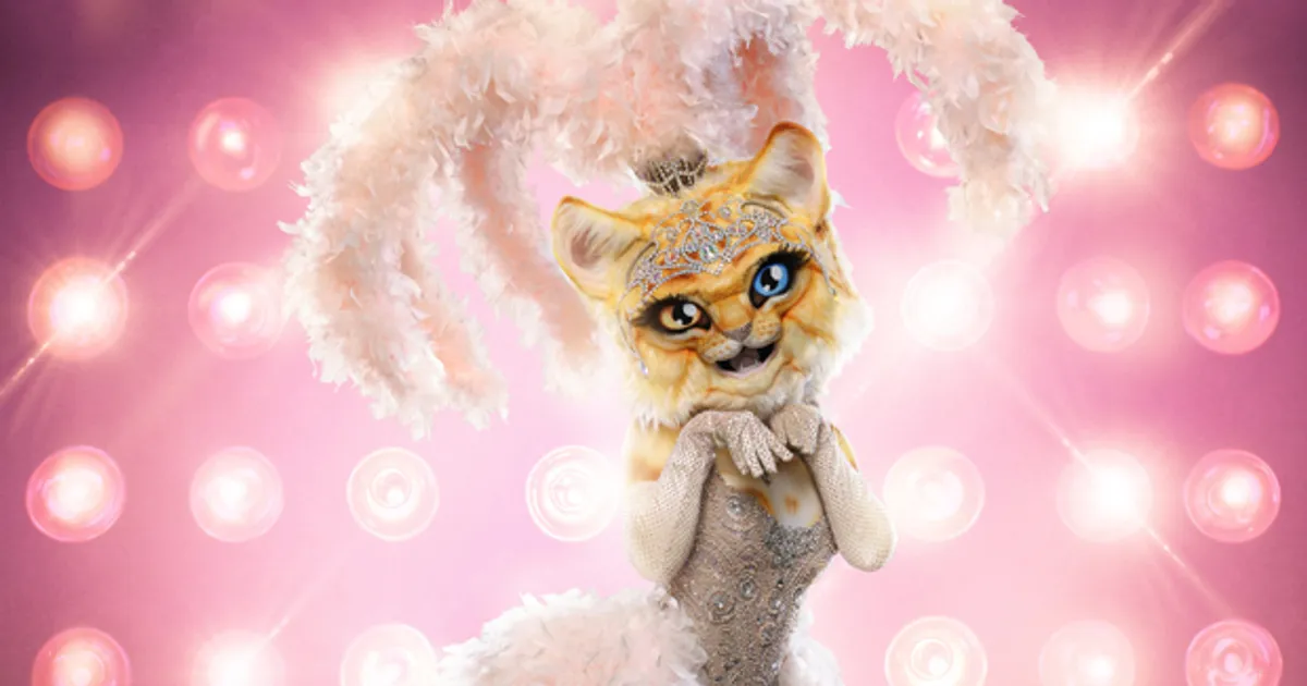 'The Masked Singer' Reveals Celebrity Behind Kitty - Fame10